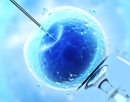 Servicios para mujeres. Concibe. Clinica de reproduccion asistida.